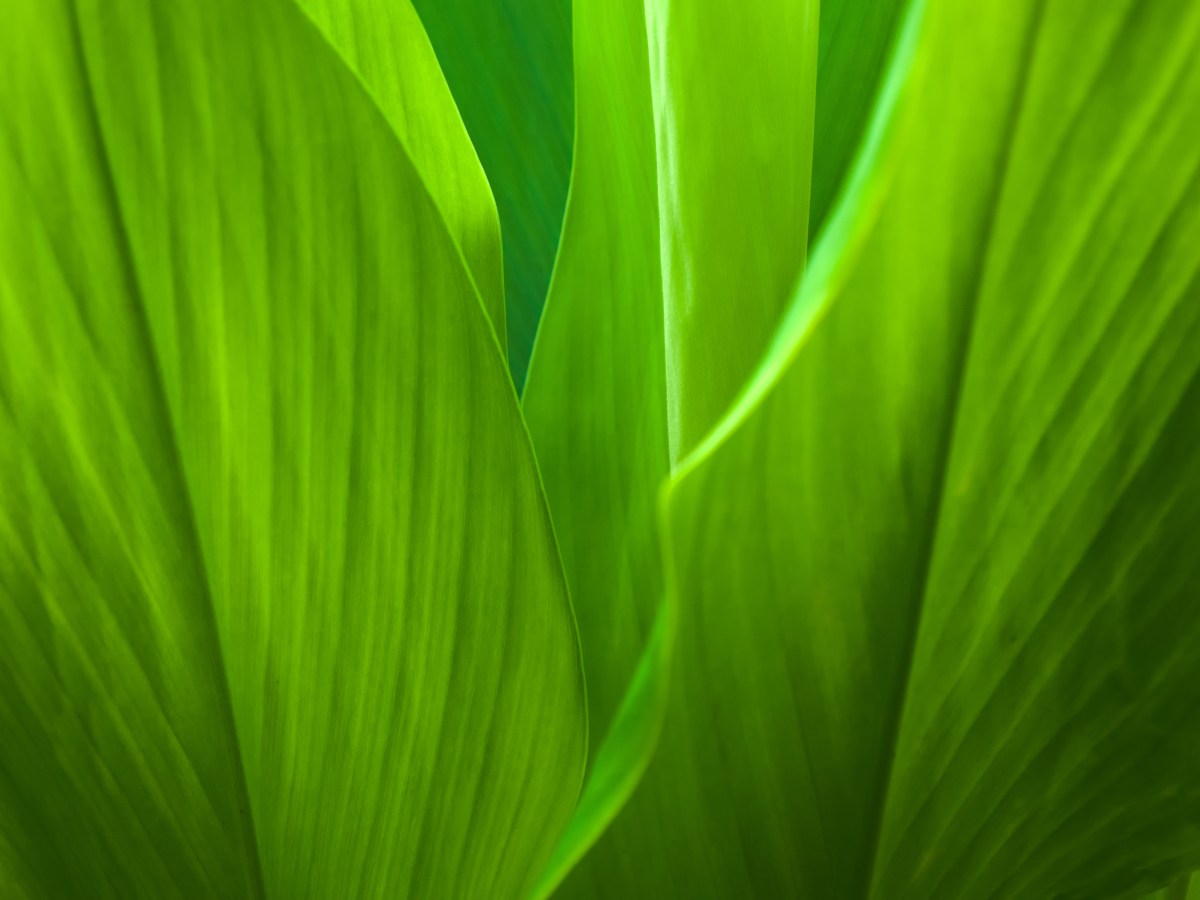 culture | learning | design – Anne Knock Consulting